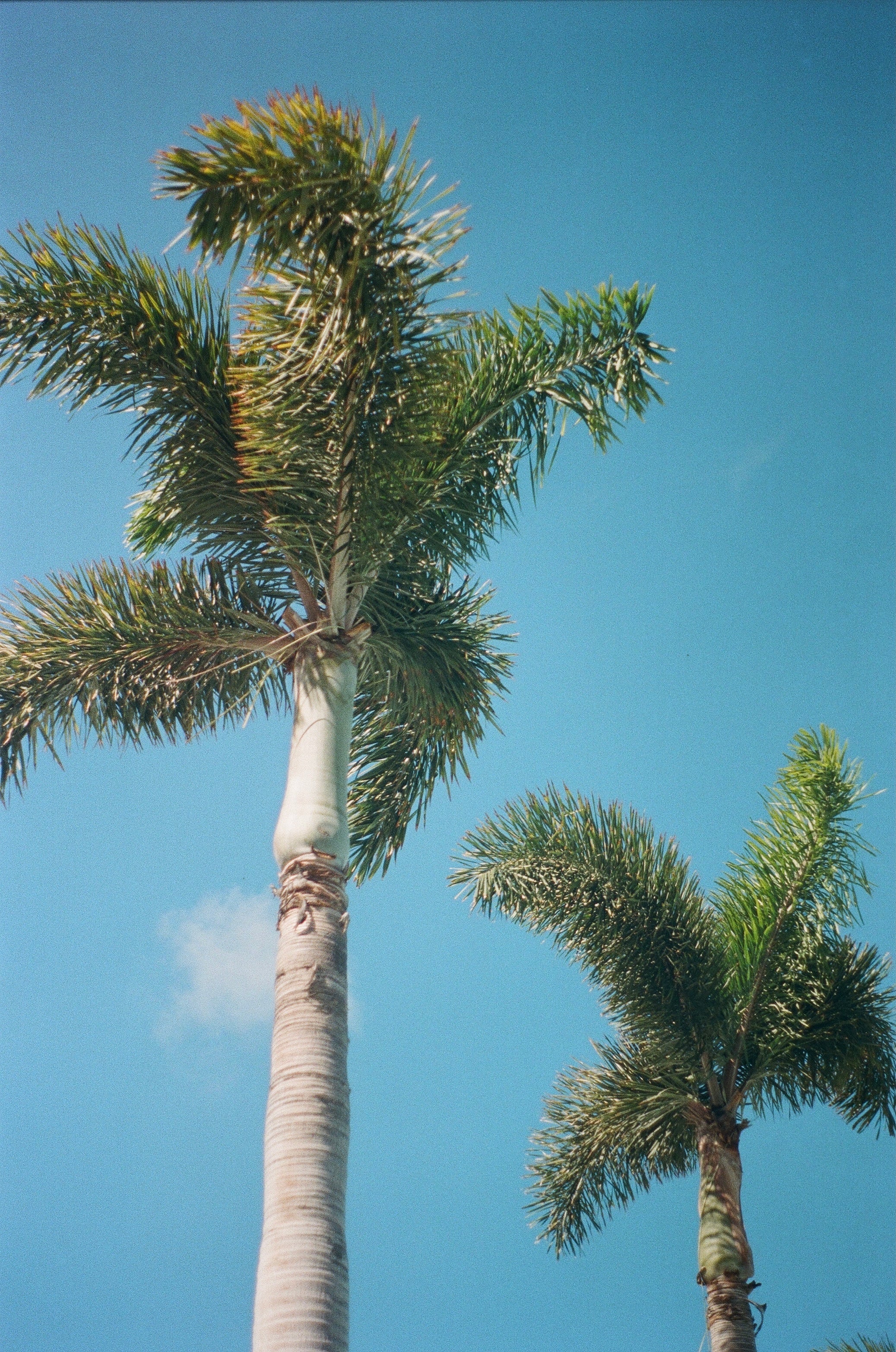 Anguilla – Photographed by Ari